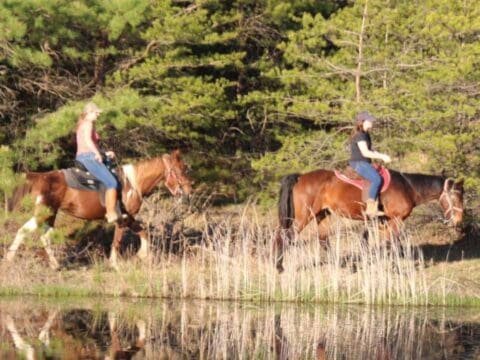 Whisper Valley Riding Trails | Red River Gorge Tourism